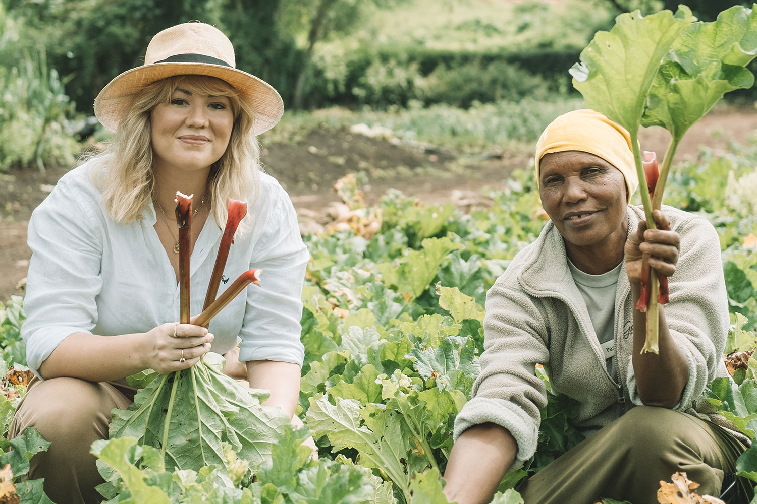 Home Page - Gibb's Farm | A Sanctuary for the Senses