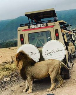 Home Page - Gibb's Farm | A Sanctuary for the Senses