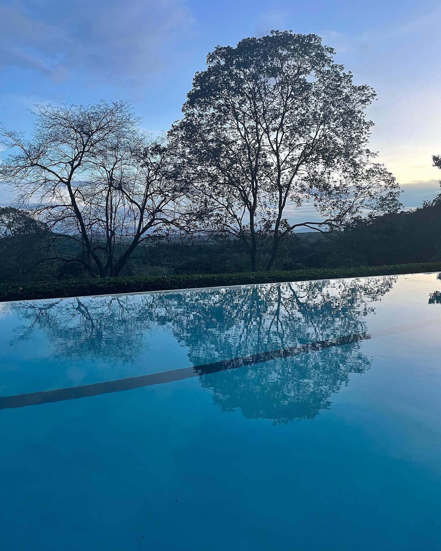 Full -Day Safaris - Gibb's Farm | A Sanctuary for the Senses