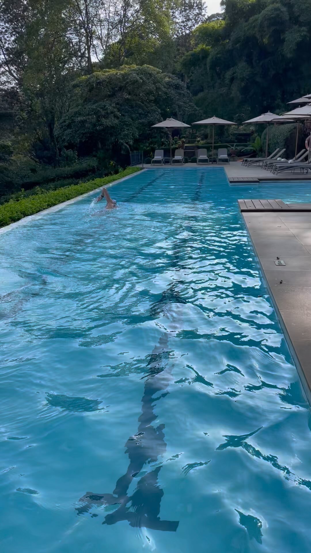 A sense of history - Gibb's Farm | A Sanctuary for the Senses