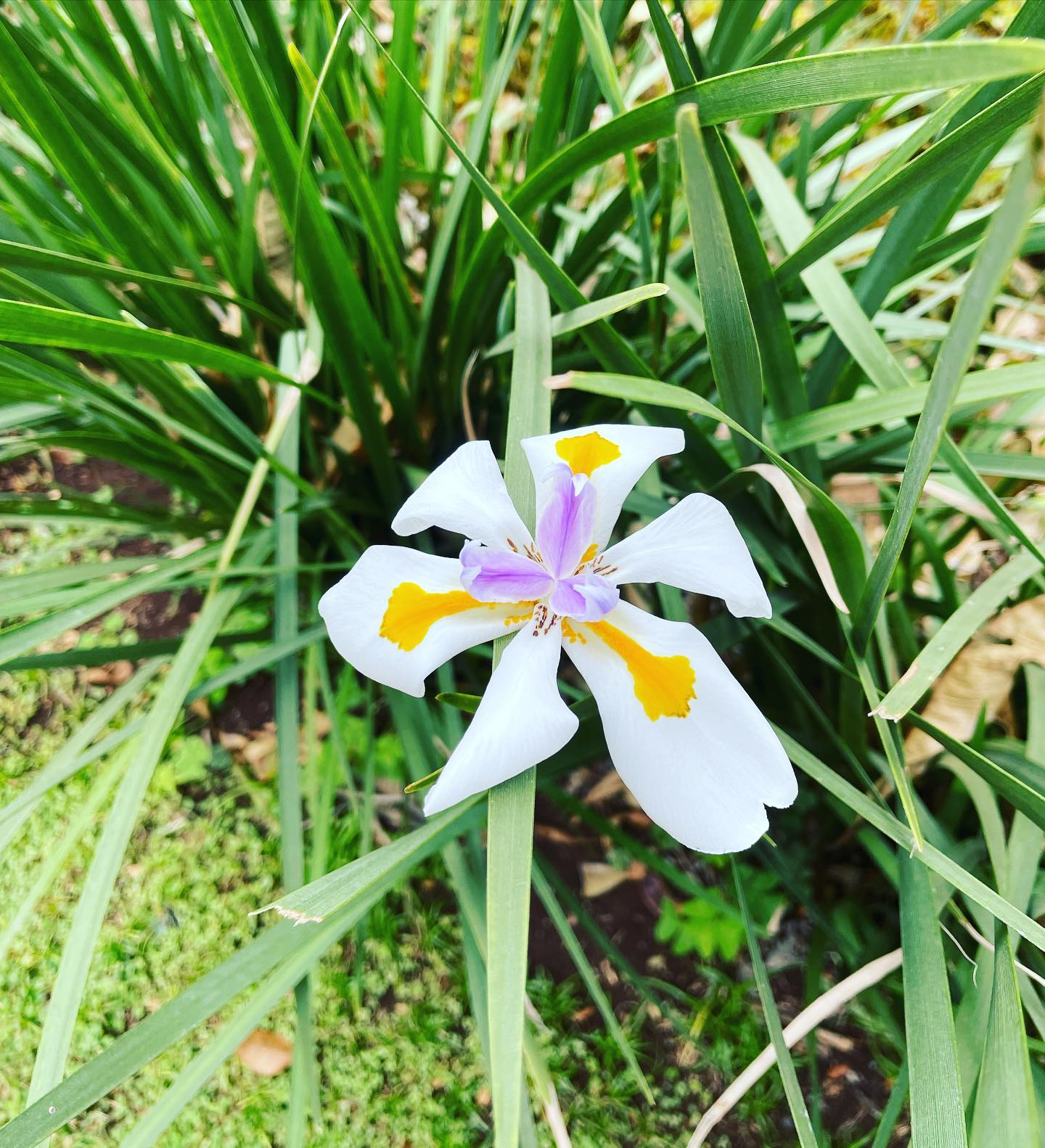 Top travel trends in 2023 - Gibb's Farm | A Sanctuary for the Senses