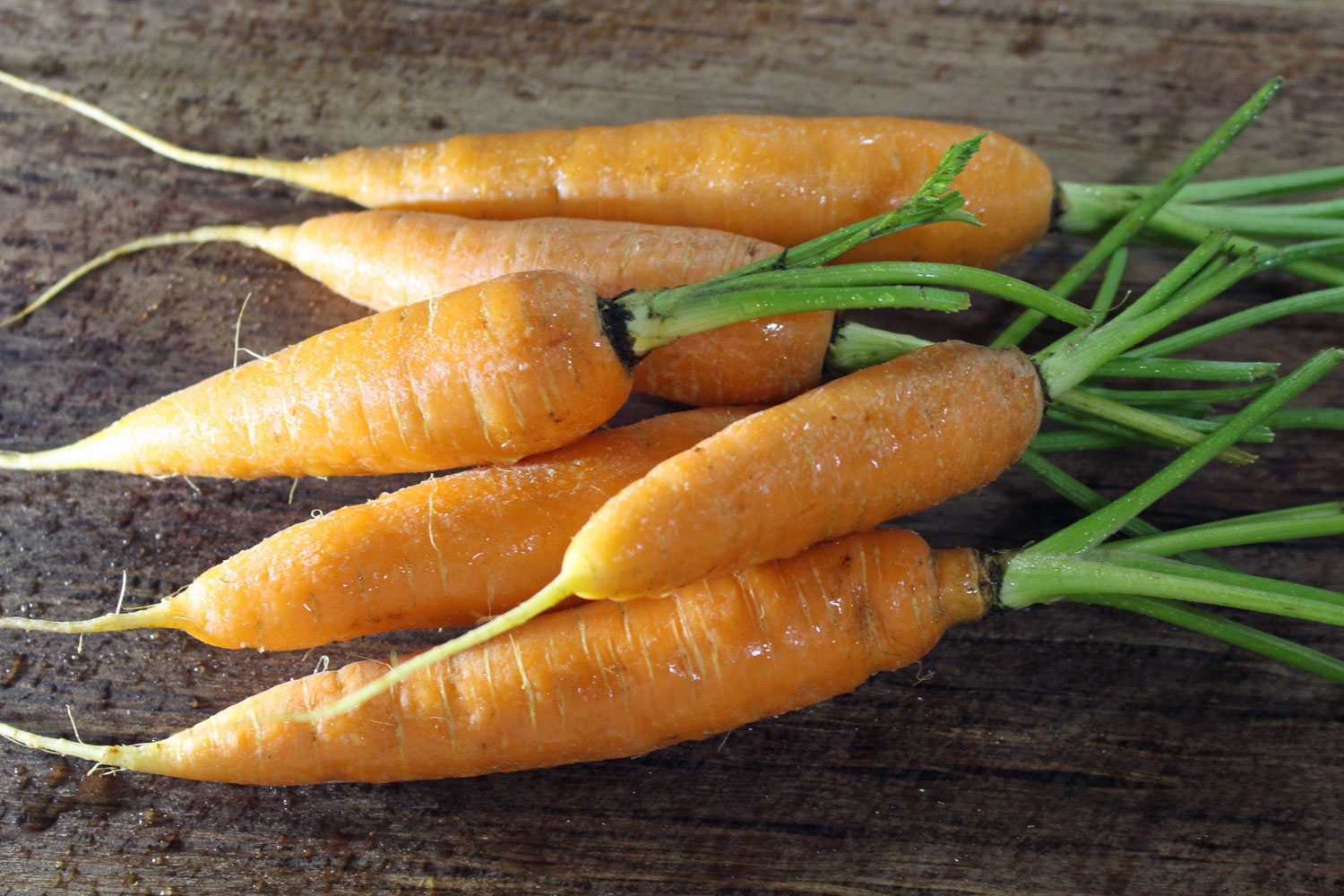 Recipe: Pasta with Carrot Top Pesto and Grilled Baby Carrots