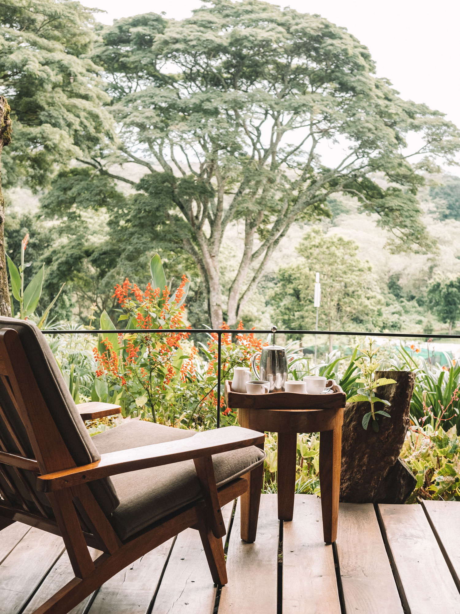 Five favourite things about Gibb’s Farm - Gibb's Farm | A Sanctuary for ...