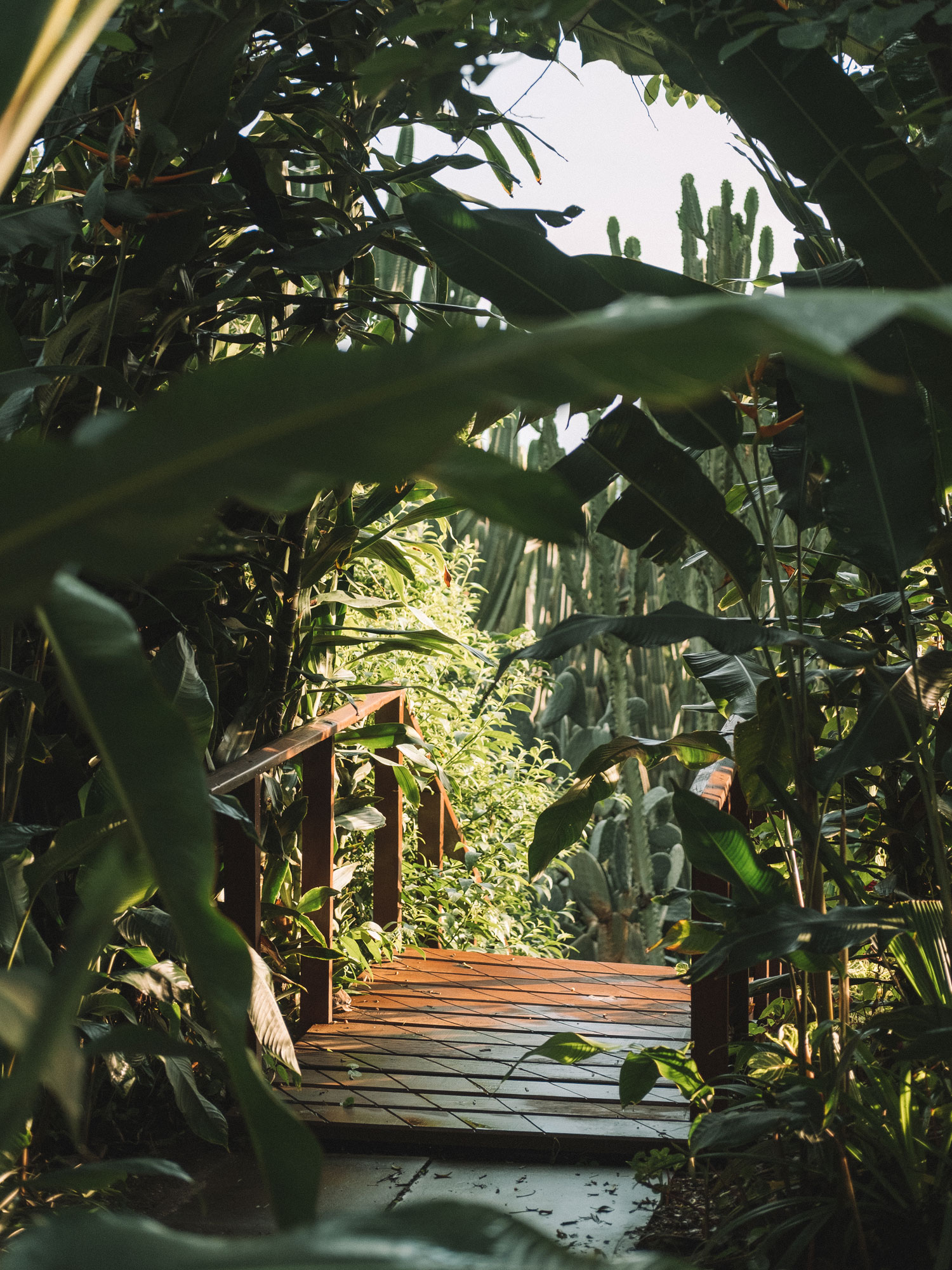 Five favourite things about Gibb’s Farm - Gibb's Farm | A Sanctuary for ...