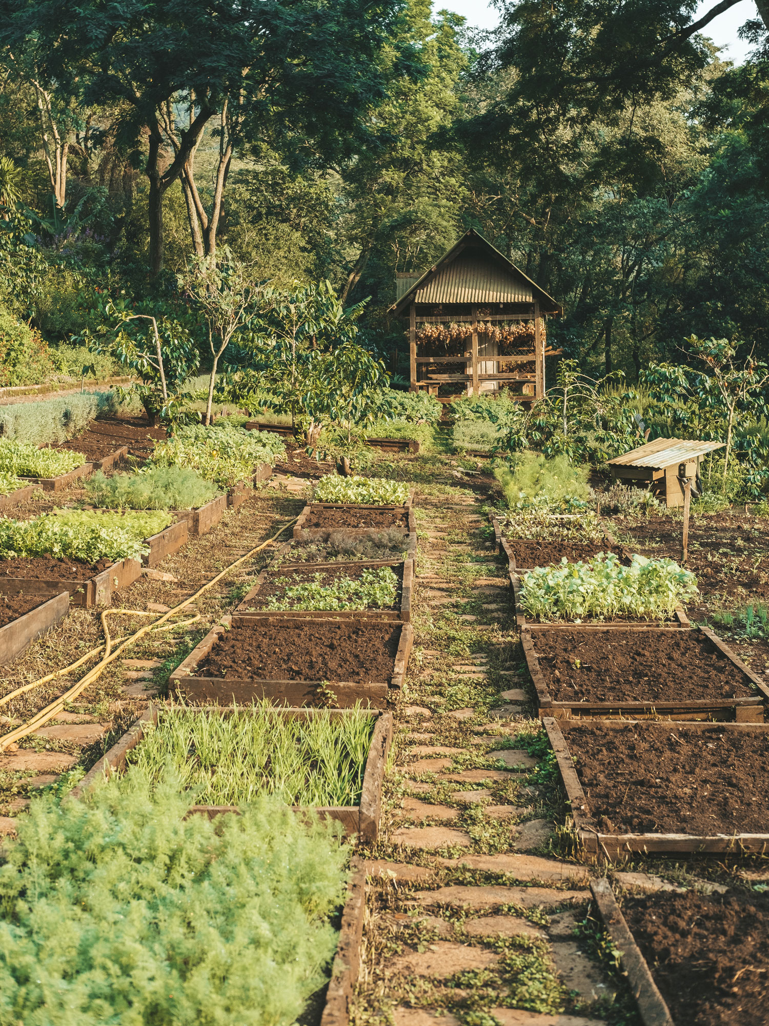 Five favourite things about Gibb’s Farm - Gibb's Farm | A Sanctuary for ...