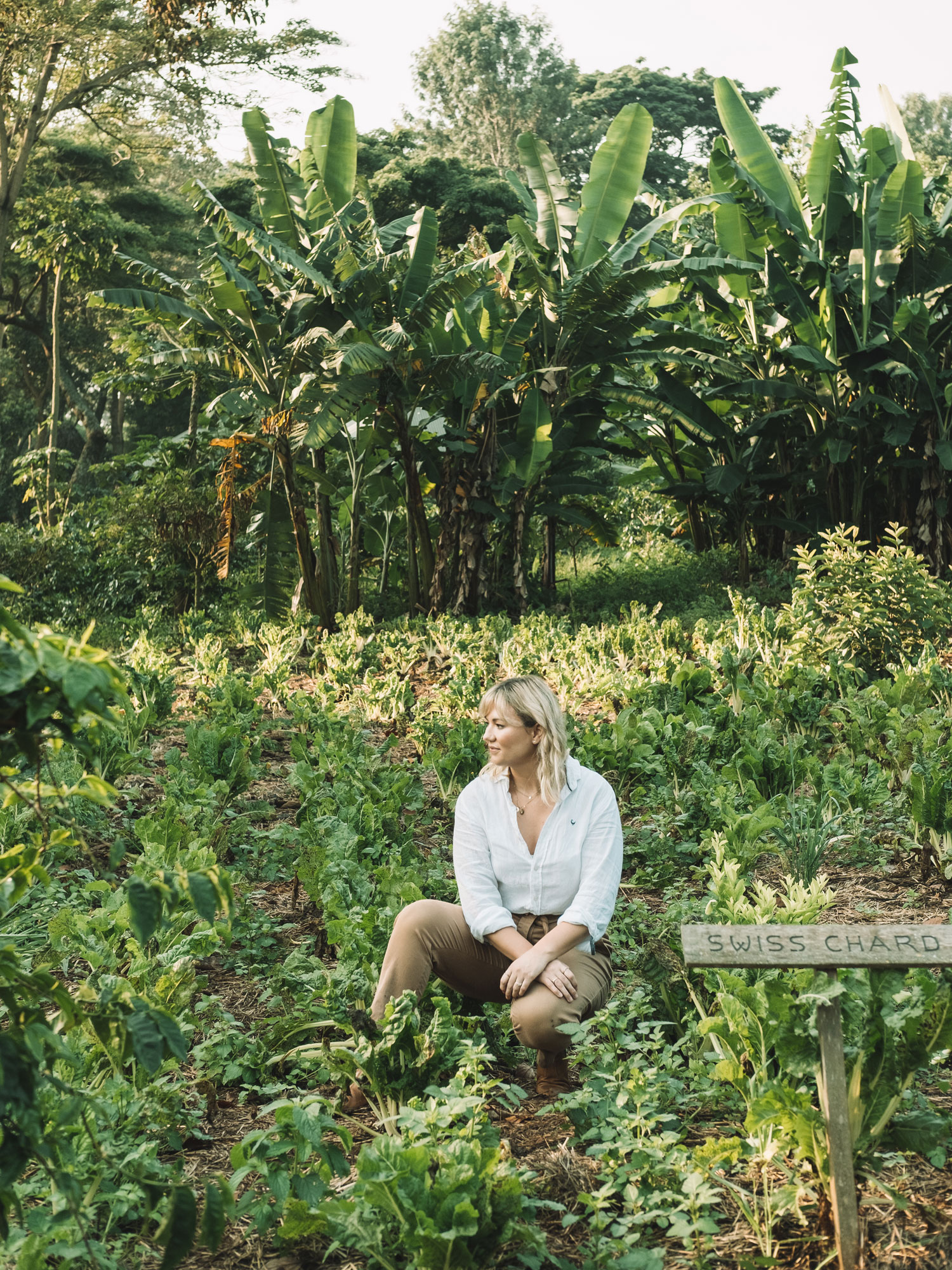 Five favourite things about Gibb’s Farm - Gibb's Farm | A Sanctuary for ...