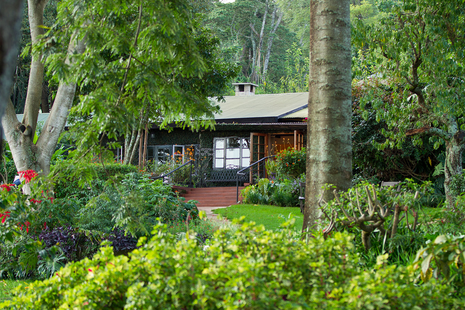 A sense of history - Gibb's Farm | A Sanctuary for the Senses